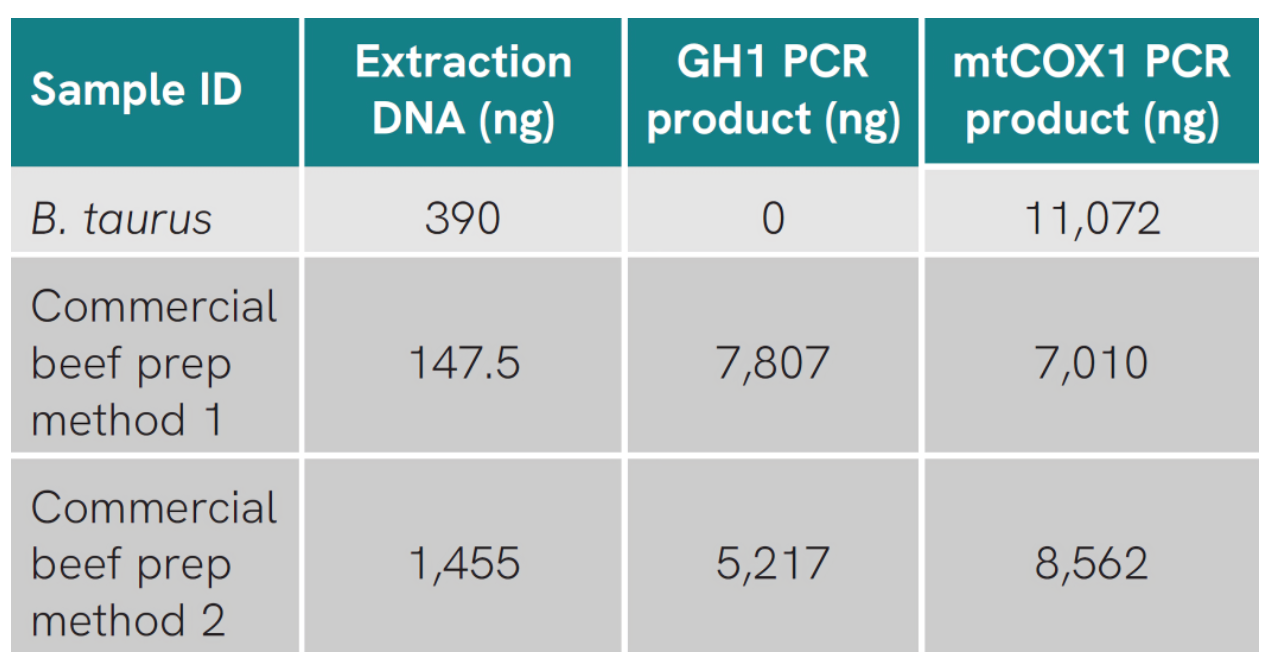 Genetic Extraction and Analysis from Weathered 6 Year Old Bos Taurus Bones through Bead Ruptor ...